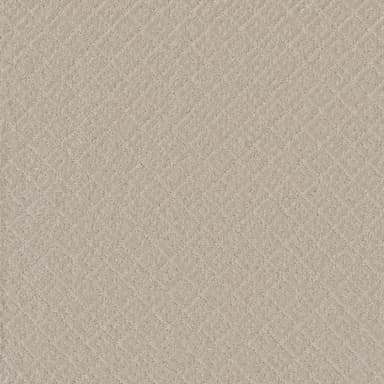 Microban® Polyester | Phenix